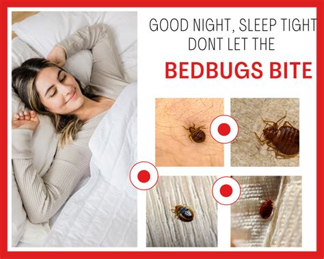 Good Night Sleep Tight Dont Let The Bedbugs Bite