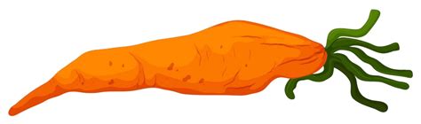 Rotten Tomatoillustrationvector On White Background Food Litter Clip