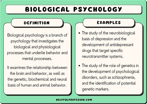 10 Biological Psychology Examples 2025