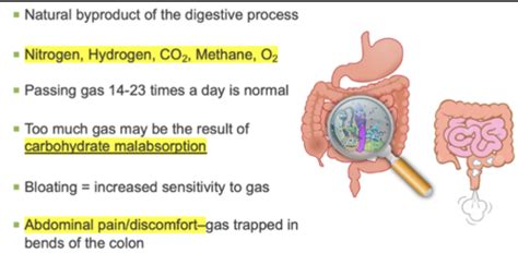 The Pharmacotherapy Of Hyperacidity And Peptic Ulcer Disease Pud