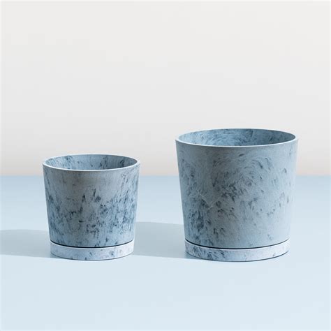 Introducing Repots Via Citrus