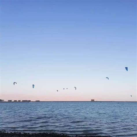 ‎firas Al Taybeh فراس الطيبة‎ Firas Taybeh • Instagram Photos And Videos