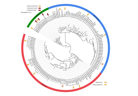Why Your UTI Test May Be Negative Even If You Have Symptoms