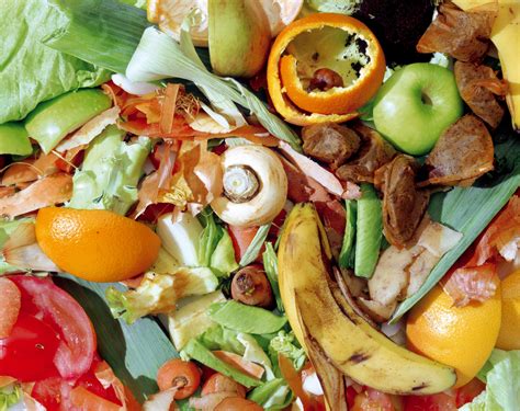 Food Waste Food Recycling Services Bywaters