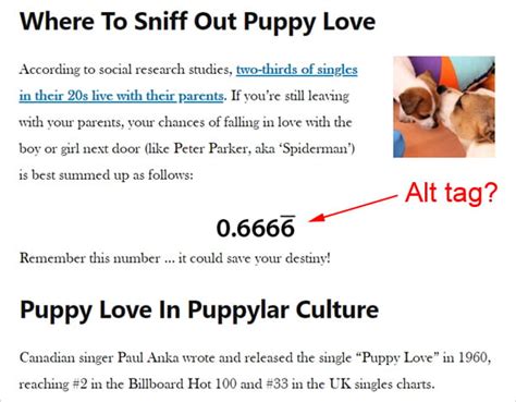 How To Write Perfect Image Alt Tags In WordPress WPMU DEV