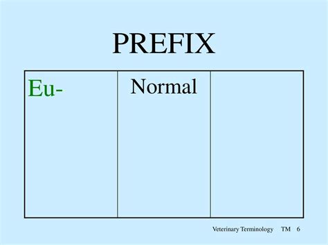 Veterinary Terminology TM - ppt download