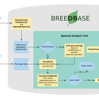 Waves R Package Functions Are Integrated Into The Breedbase Spectral Download Scientific