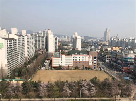 수원 정자동 중심상가 앞 국유지 언제까지 방치될까 네이버 블로그