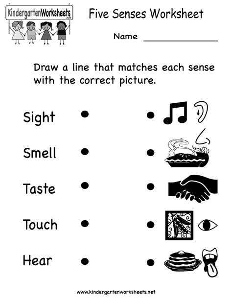 My Five Senses Worksheets