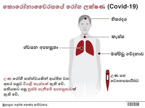 කොරෝනා වෛරසය රෝග ලක්ෂණ මතුවෙන්න දින 24ක් දක්වා ගත විය හැකියි Bbc