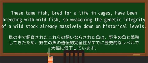 【英単語】genetic Integrityを徹底解説！意味、使い方、例文、読み方