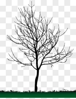 Png