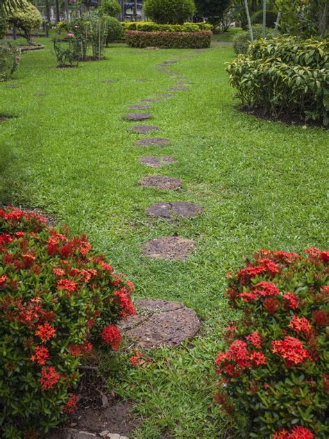 How To Grow Grass In The Shade How Tos Diy