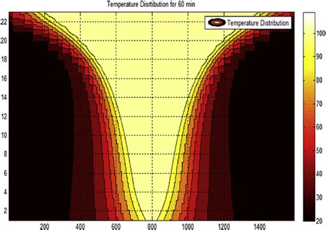 Temperature Distribution Analysis In The Model After 60 Min Download
