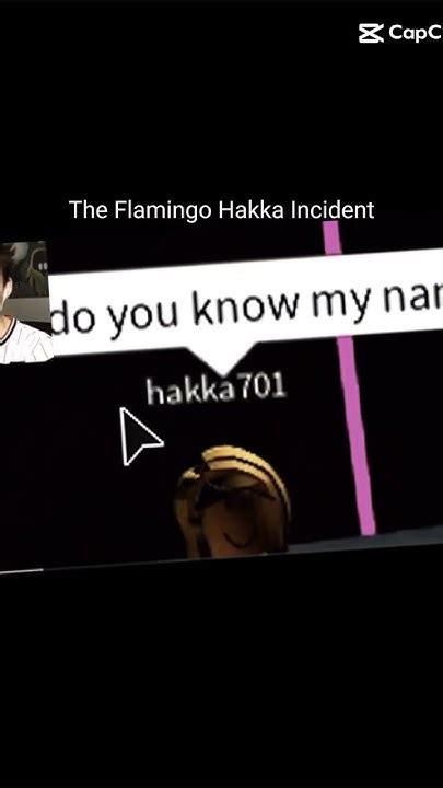 The Hakka Accident Roblox Youtube