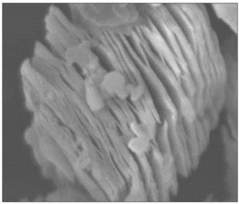 Preparation Method For Ti C Mxene Polymer Composite Wave Absorbing Material Eureka Patsnap