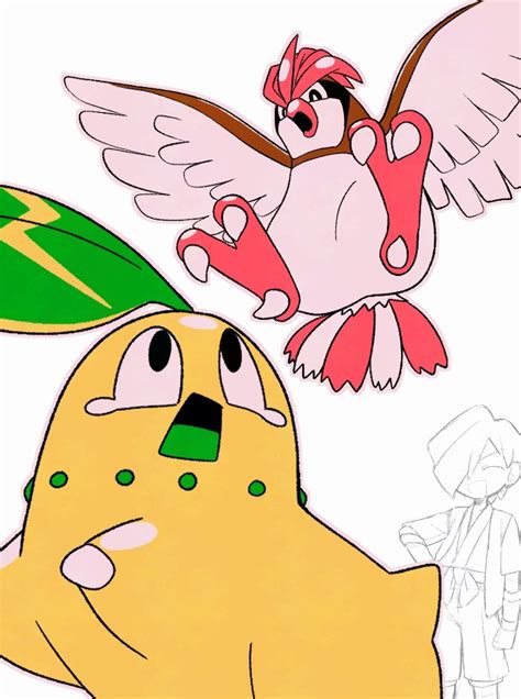 Chikorita Falkner And Pidgeotto Pokemon And 1 More Drawn By Tyako