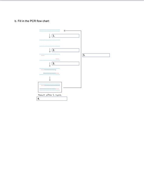 Solved B ﻿fill In The Pcr Flow Chartresult After 1