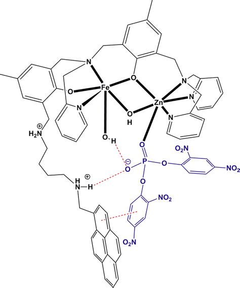 Proposal For Interactions Between The Substrate And Complex 1