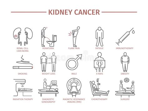 Síntomas Del Cáncer Del Riñón Ilustración Del Vector Ilustración De