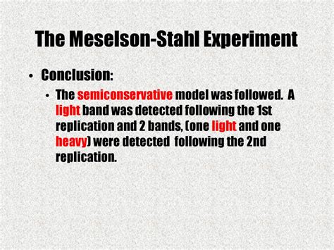 The Molecular Basis Of Inheritance Ppt Download