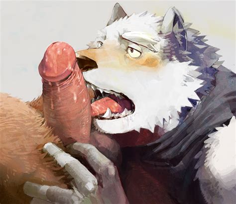 Rule 34 Canine Gay Male Nude Oral Trabel Wolf 572158