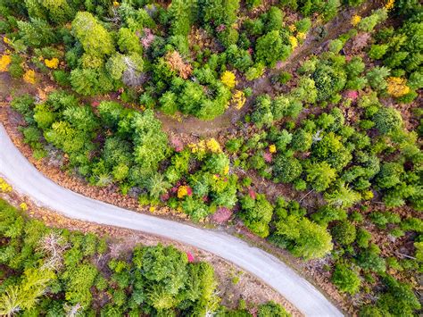 Electrification Of California Decarbonization And The Future Air