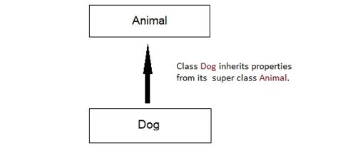 C Inheritance Studytonight