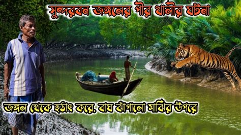 সুন্দরবন জঙ্গলের পীর খালীর ঘটনা জঙ্গল থেকে হঠাৎ করে বাঘ ঝাঁপালো মাঝির