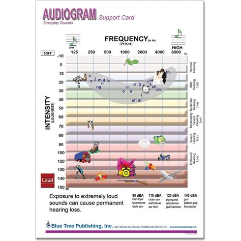 Audiogram Of Everyday Sound Anatomical Chart Speech Banana Frequency Pitch And Ear Information