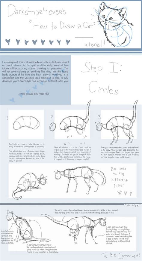How To Draw Aprenda A Desenhar Cat Drawing Tutorial Cat Anatomy