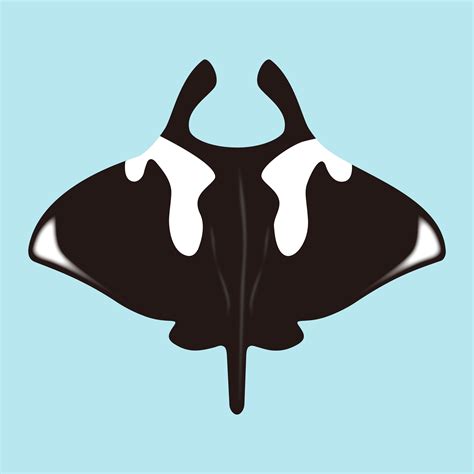 Stingray Towel Cape Original Light Weight Ver Pre Order 20 30days
