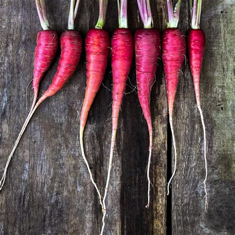 Carrot Cosmic Purple Seeds She Grows Veg