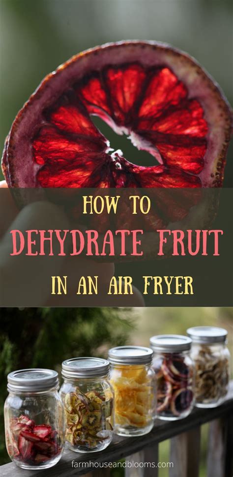 How To Dehydrate Fruit In An Air Fryer How Can This