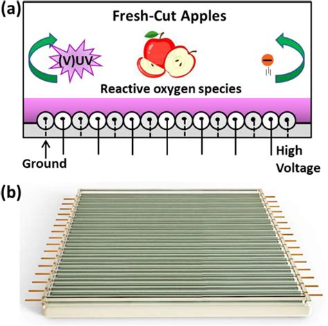 sdp system for the preservation of fresh cut apples a overview of