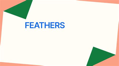 Avian Feathers Note On Structure Of Quill Feathers Types Of Feathers Pdf