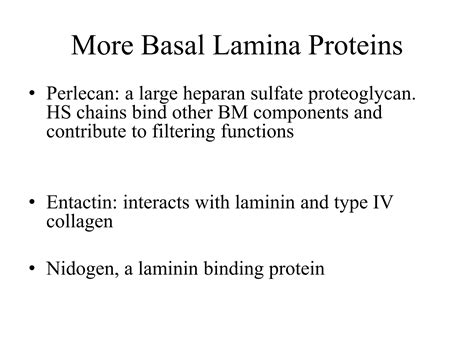 The Extracellular Matrix Pptx