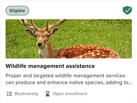 Program Verification Ncx