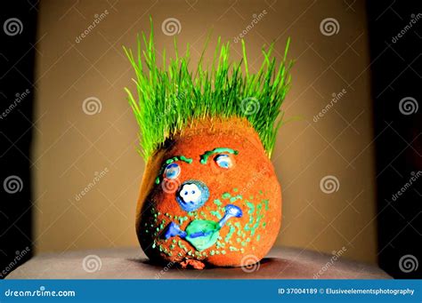 Grass Head Stocking Stock Image Image Of Mouth Hair 37004189