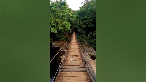 කන්දෙන් ලන්දෙන් හුස්ම අරන් දිගු ගමනකට සැරසෙන සුන්දර බඹරකිරි ඇල්ල😍🌳 Riverston Bambarakiriella