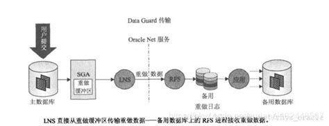 data guard原理 dataguard csdn博客