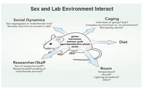 Analyzing How Sex And Gender Interact Gendered Innovations