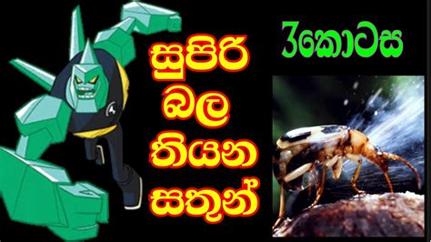 සුපිරි බල සහිත සතුන් 3කොටස Youtube