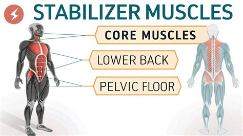 Master The Russian Twist Core Exercise Guide
