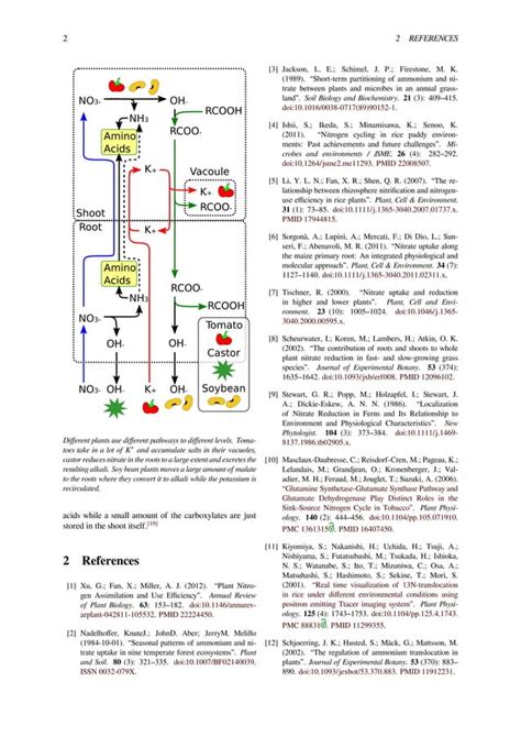 Nitrogen Assimilation Pdf Agriculture Industries