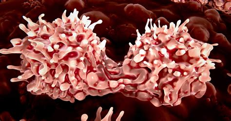 Global Phosphoproteome Analysis Of Human Bone Marrow Evotec