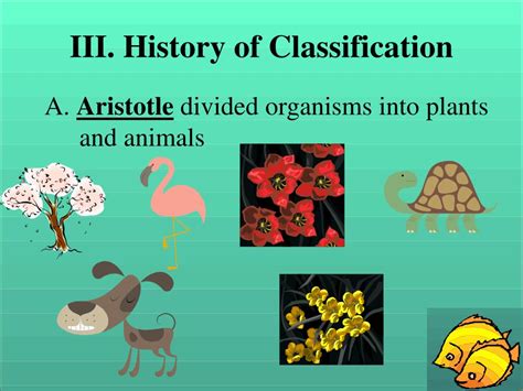 Ppt Classification Powerpoint Presentation Free Download Id3145846