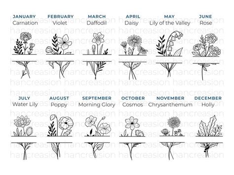 This Birth Month Flower Frame Svg Bundle Includes 12 Hand Drawn Flower
