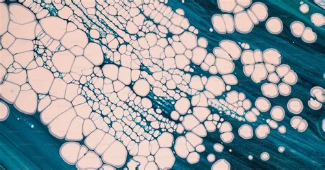 거품이 있는 파란색과 흰색 추상화 사진 Unsplash의 텍스처 이미지