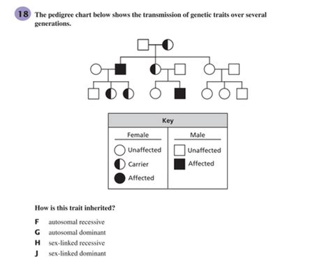 genetics simple and complex patterns of inheritance flashcards quizlet